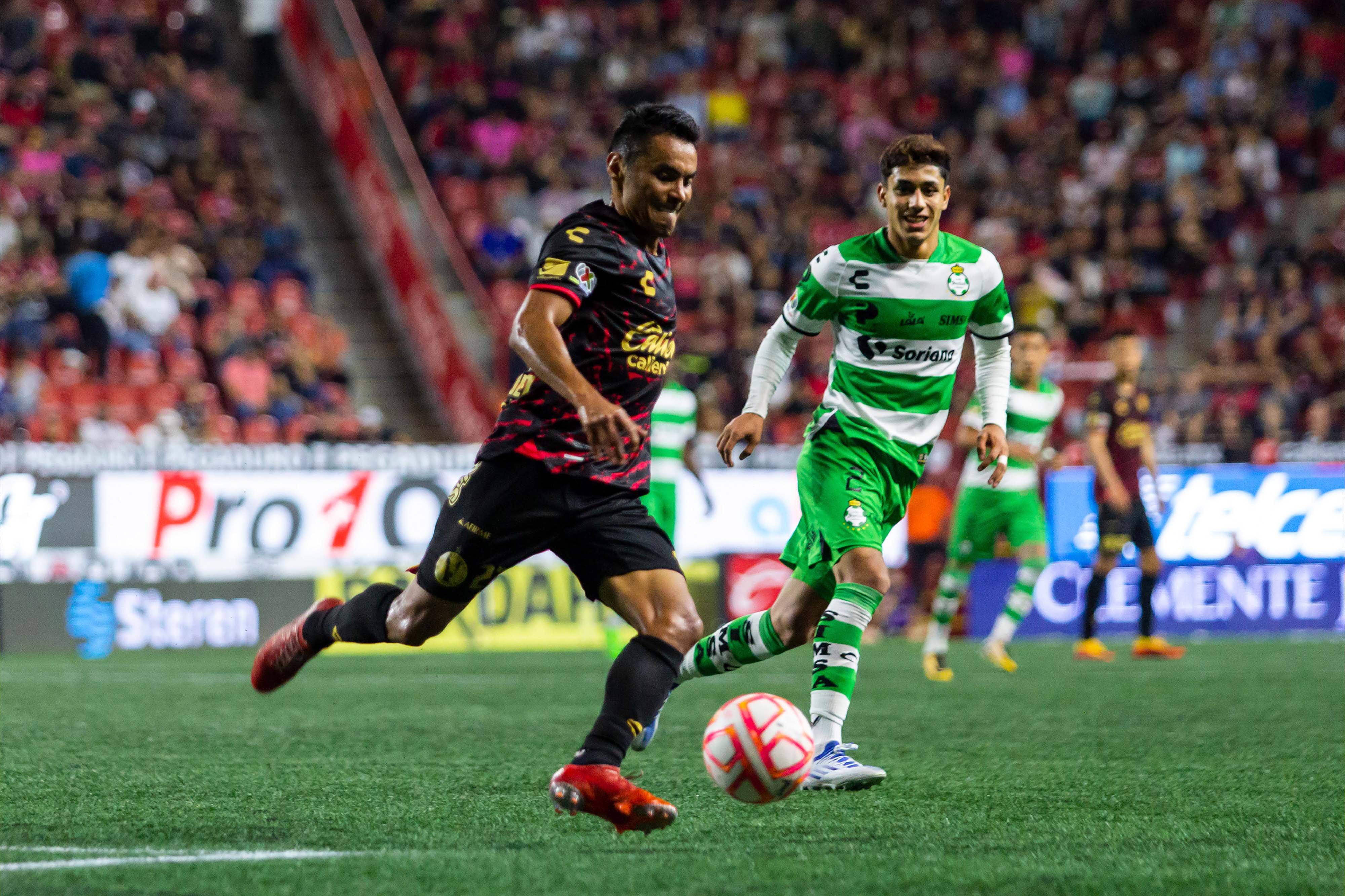 Club Tijuana Xoloitzcuintles De Caliente