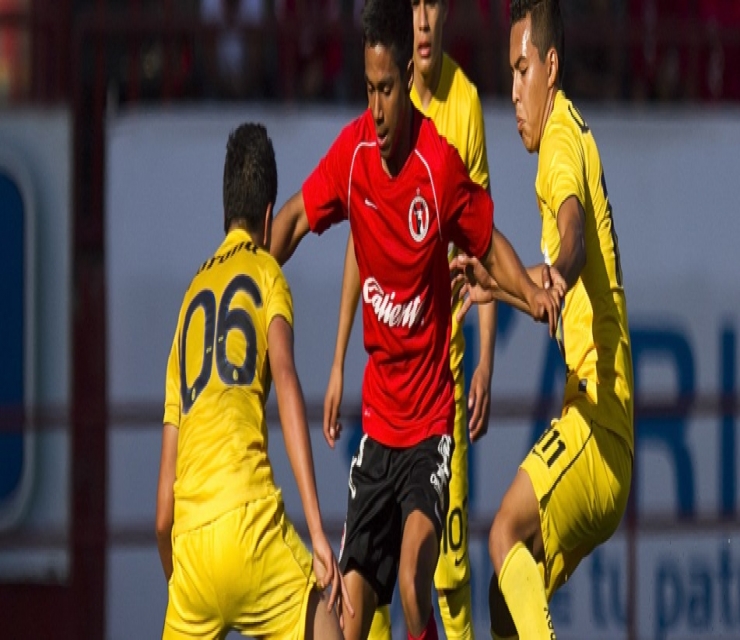 Club Tijuana Xoloitzcuintles de Caliente